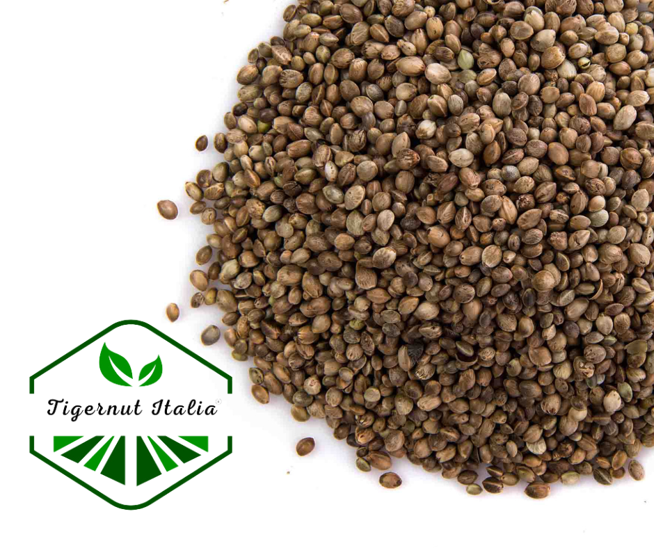 Semi di canapa pesca carpfishing – Tigernut Italia